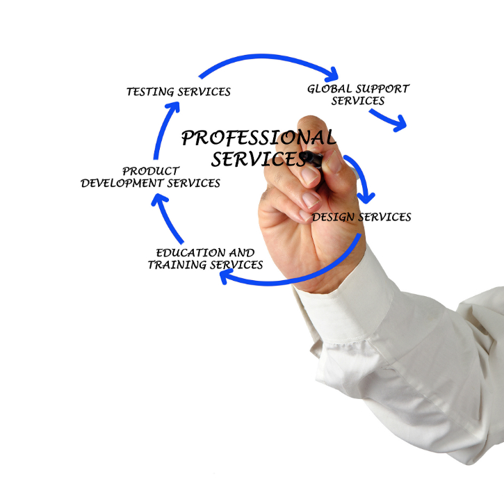 Professional Services | Hi Calibre International | Executive ...